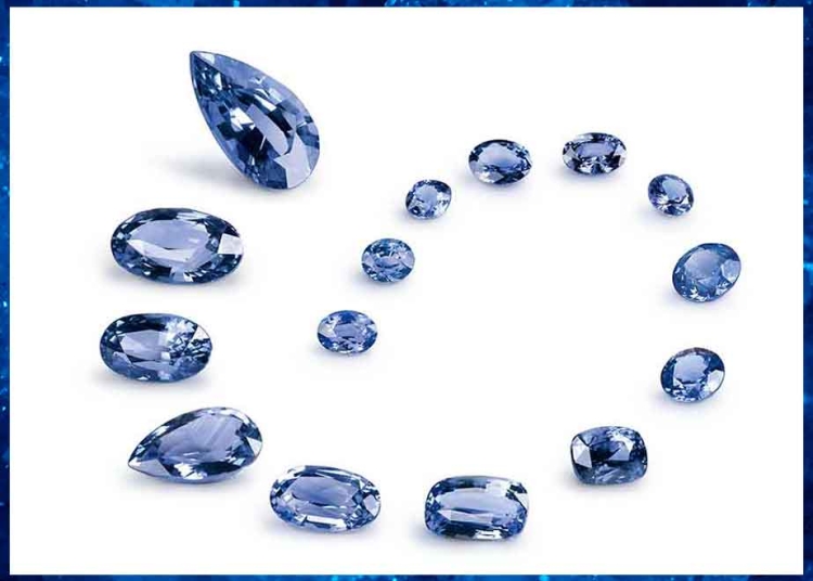 A. Ruppenthal: Seit 50 Jahren Besuchermagnet auf der INHORGENTA ...